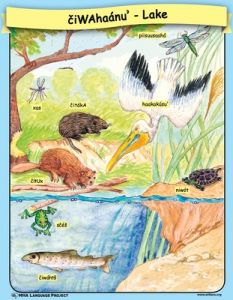 Home - MHA Language Project - Arikara